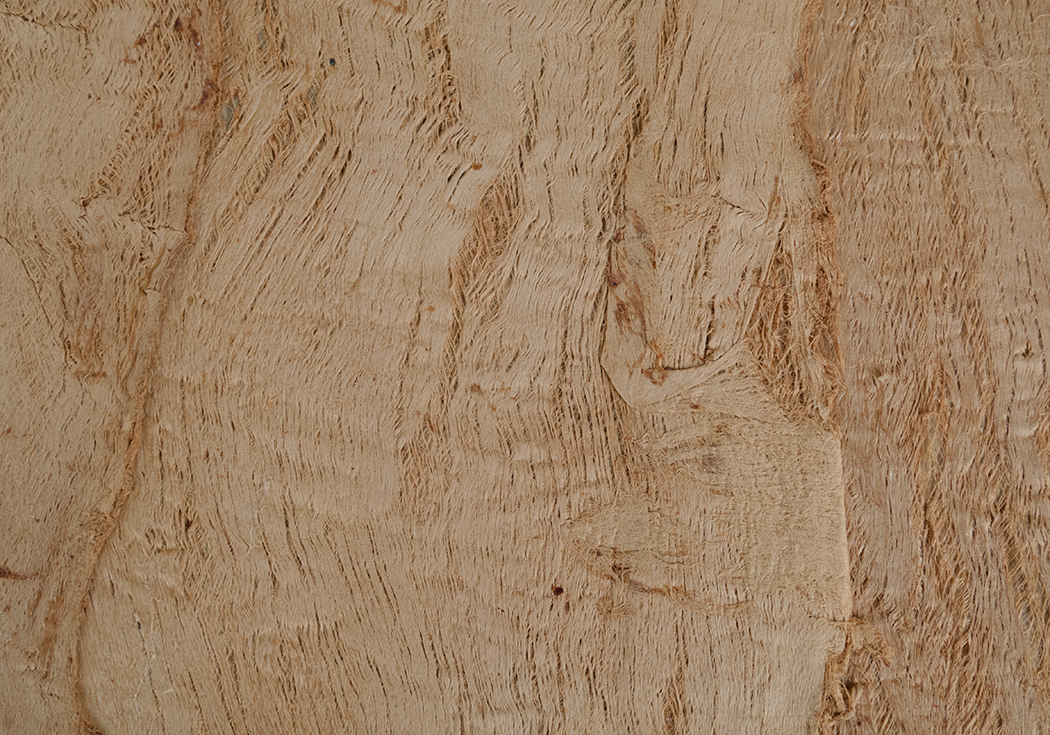 Bark A4 70mm Bark Lever Arch Ring Binder | Personalised Handmade Gifts ...